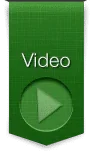 New - Homepage (in development) - Bepoz POS